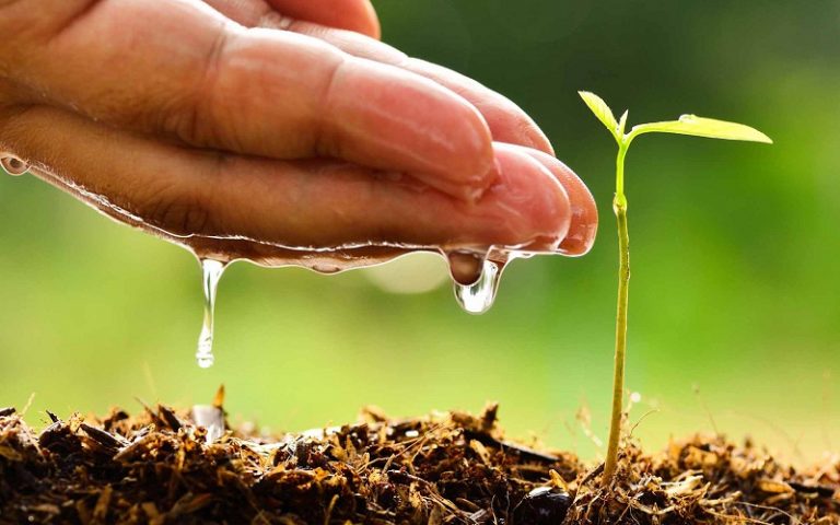 Discover How to take care of nature check this article